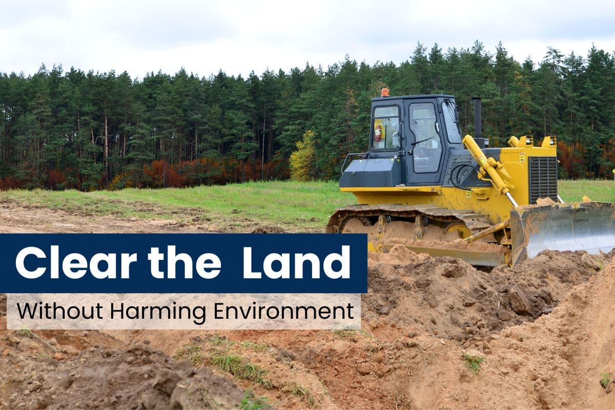 How to Clear Land Without Harming the Environment - Georgia Land ...