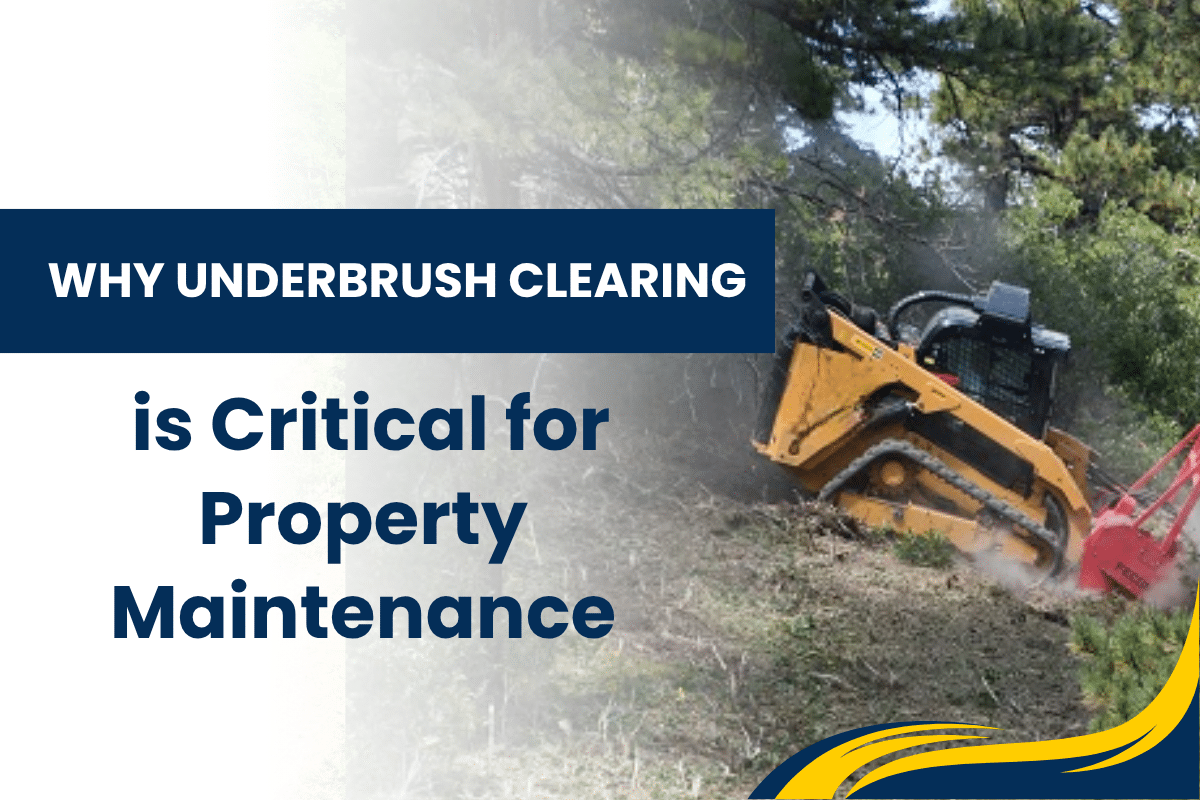 What Is Underbrush Clearing and Why Is It Critical for Property ...