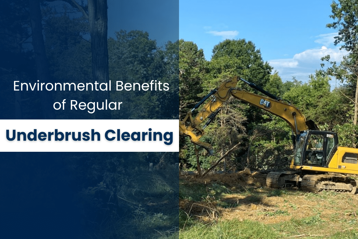 What Are the Key Environmental Benefits of Clearing Underbrush Regularly?