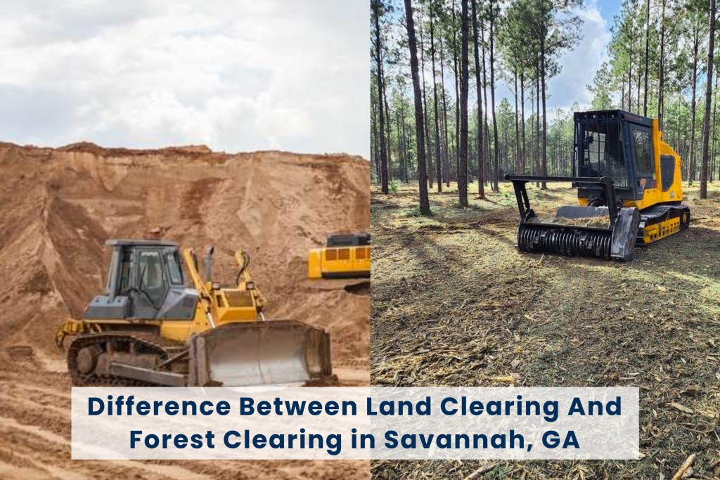 Land Clearing and Forest Clearing in Savannah, Georgia