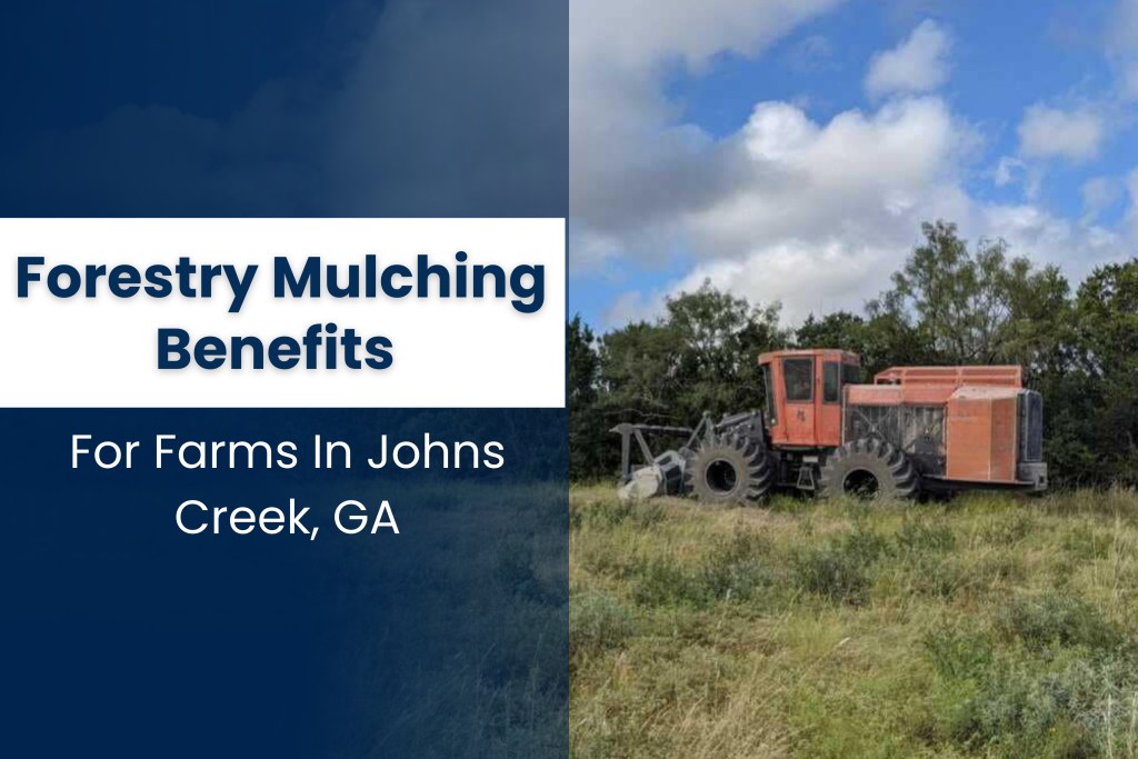 Forestry Mulching and How Can It Benefit Your Farm in GA?